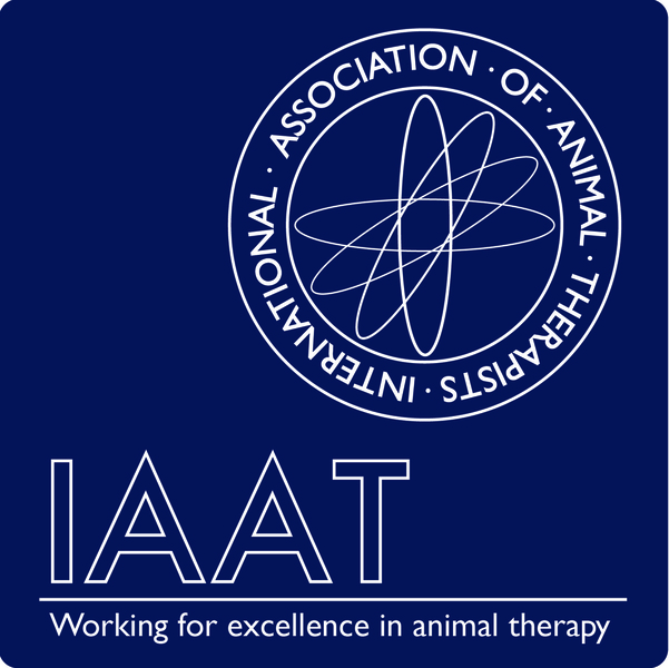 Combined Veterinary Physiotherapy with Hydrotherapy Level 6 | learndirect